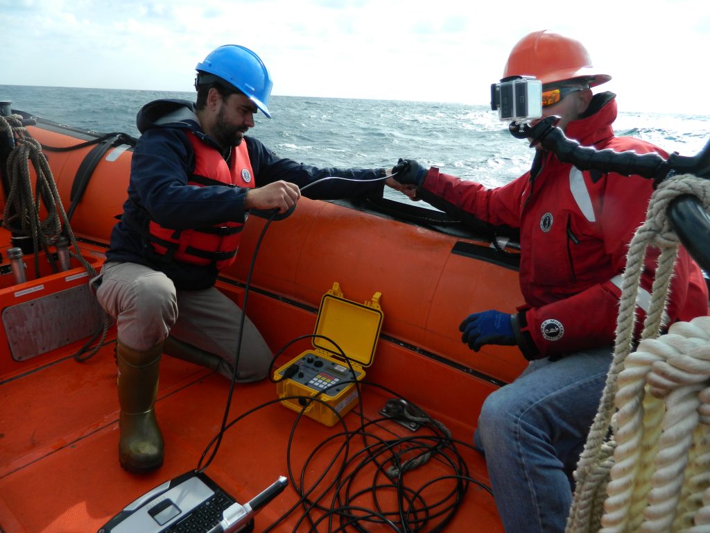 Hats off to this collaboration: SponGES pairs up with Ocean Tracking ...