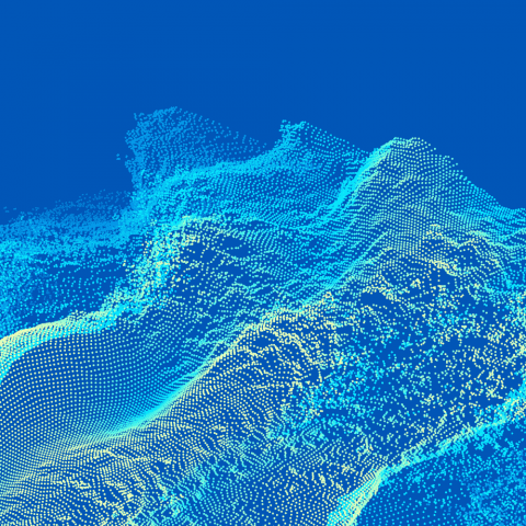 About OTN | Ocean Tracking Network