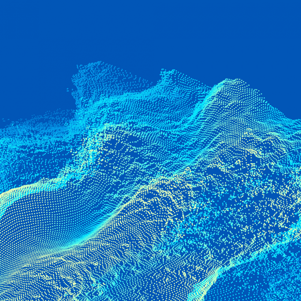 About OTN | Ocean Tracking Network