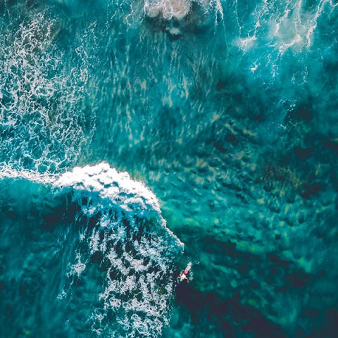 Resources | Ocean Tracking Network