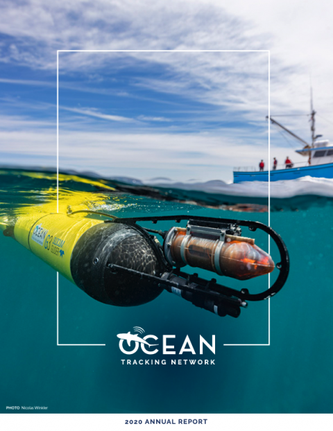Annual reports | Ocean Tracking Network