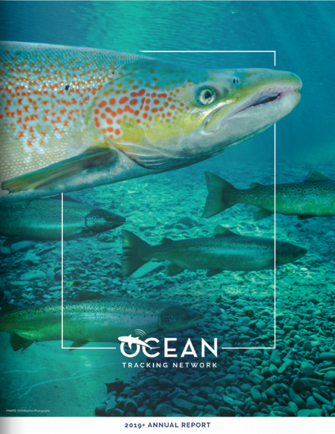 Annual reports | Ocean Tracking Network